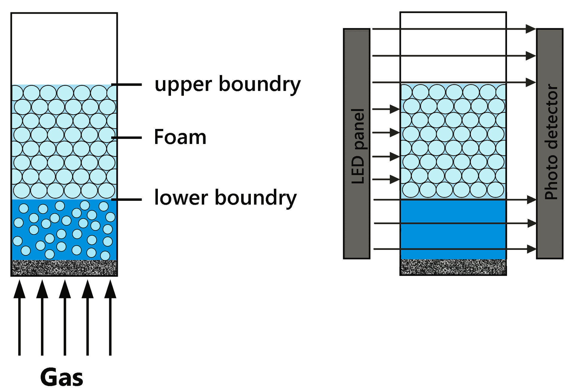 Comparison of the foam behavior of different types of beer ...