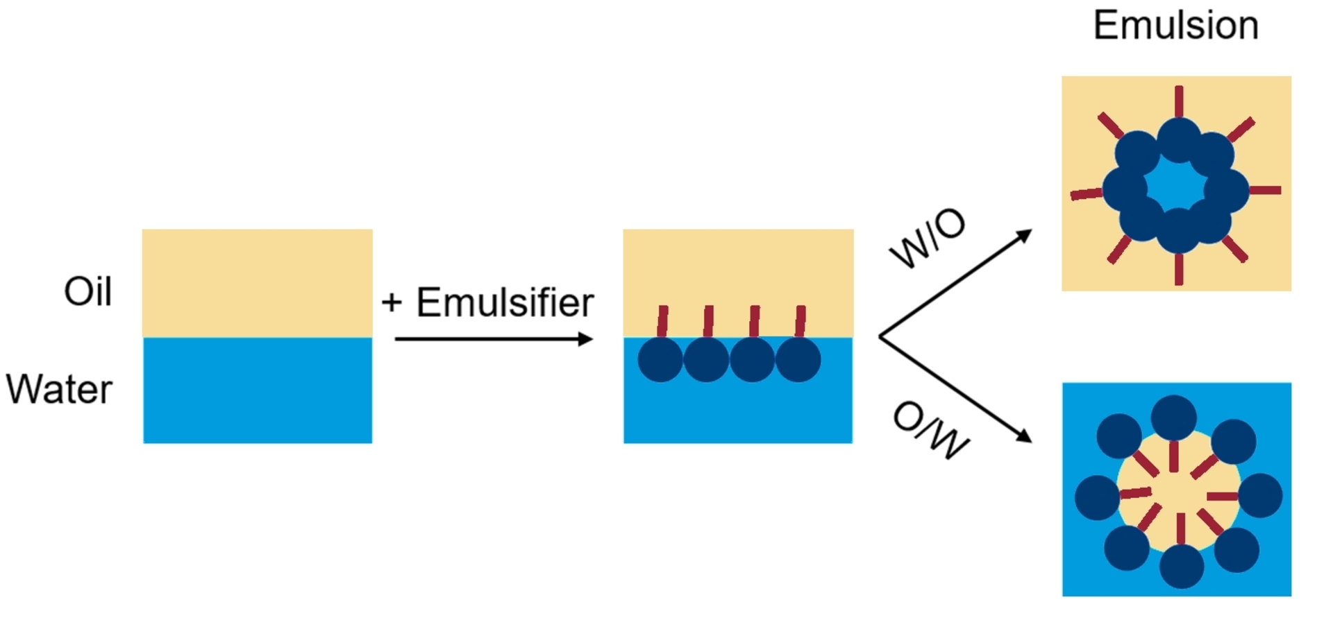 Characterization of a versatile emulsifier for low-viscous formulations ...