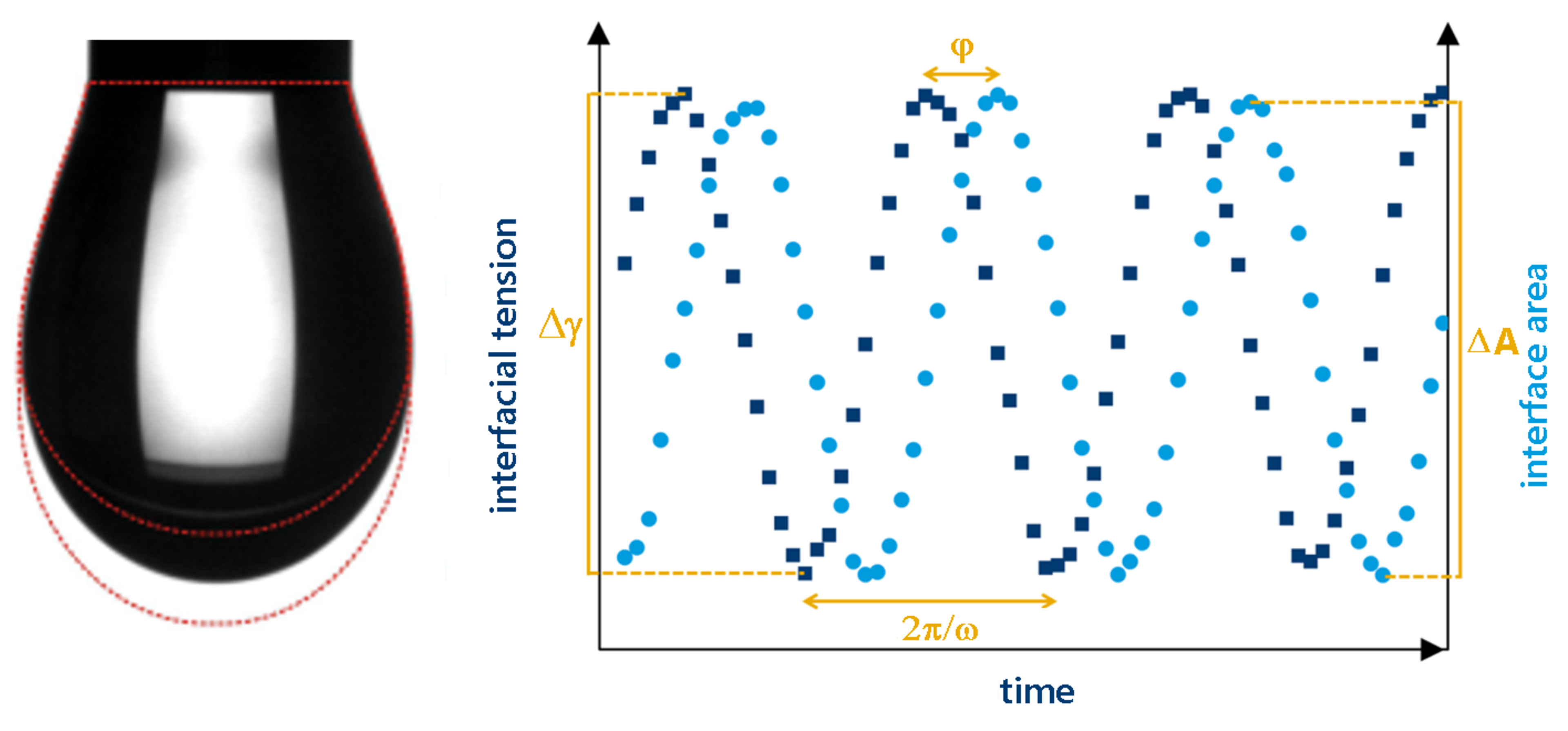Interfacial rheology, surface rheology | KRÜSS Scientific
