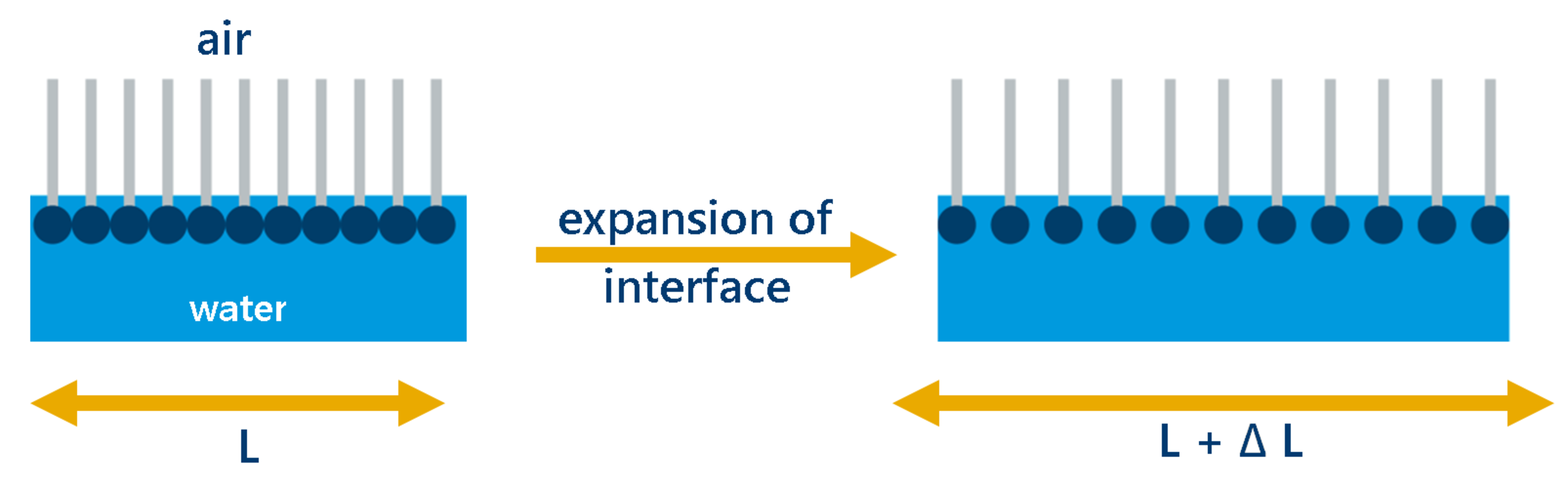 Interfacial rheology, surface rheology | KRÜSS Scientific