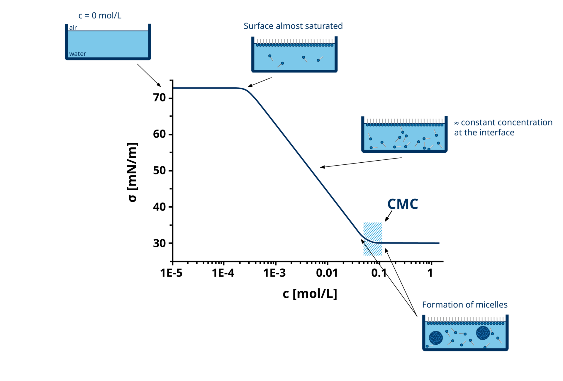 Critical micelle concentration (CMC) and surfactant concentration ...