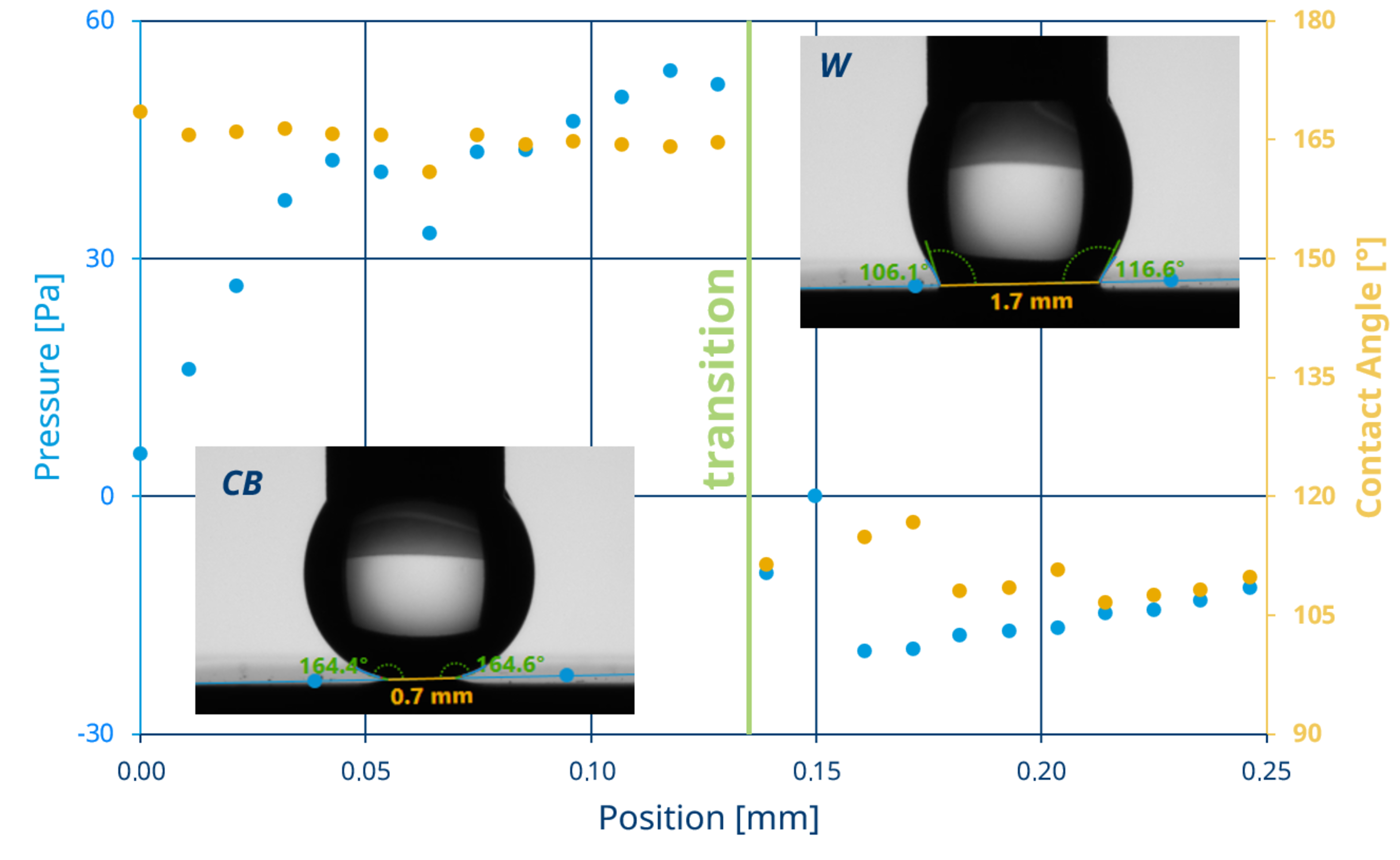 Lotuseffekt | KRÜSS Scientific