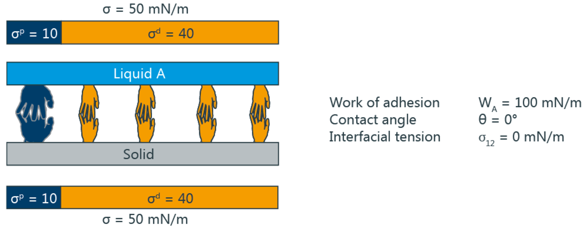 Surface free energy (SFE), surface energy | KRÜSS Scientific