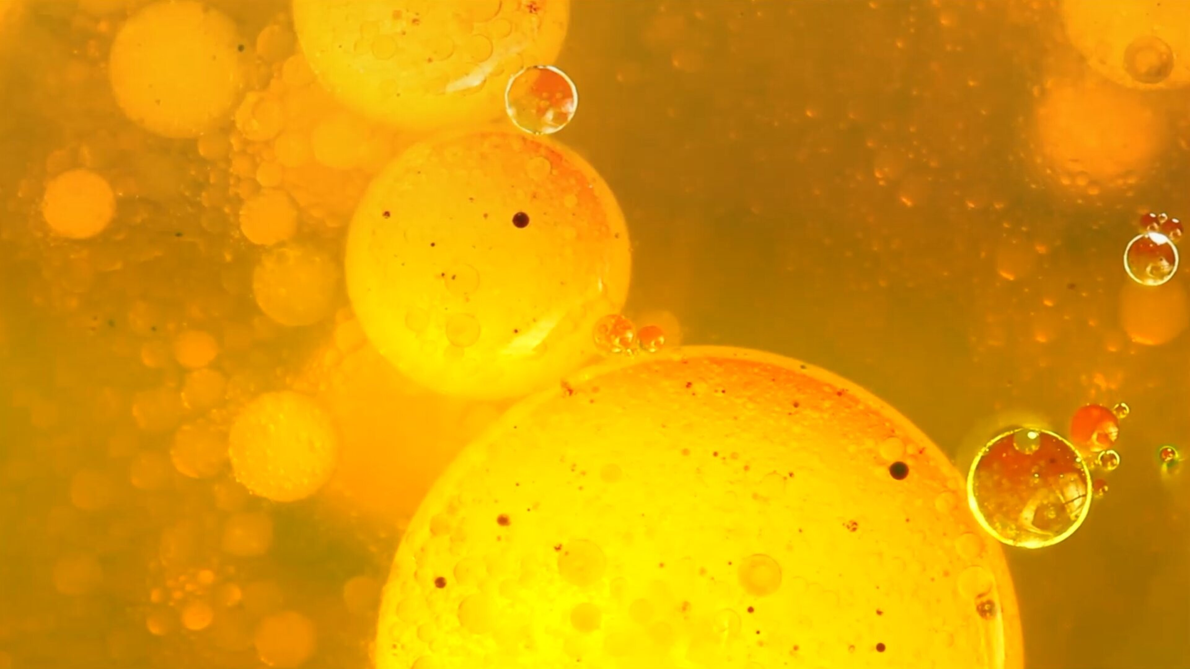 Explore the world of Surface Science | KRÜSS Scientific